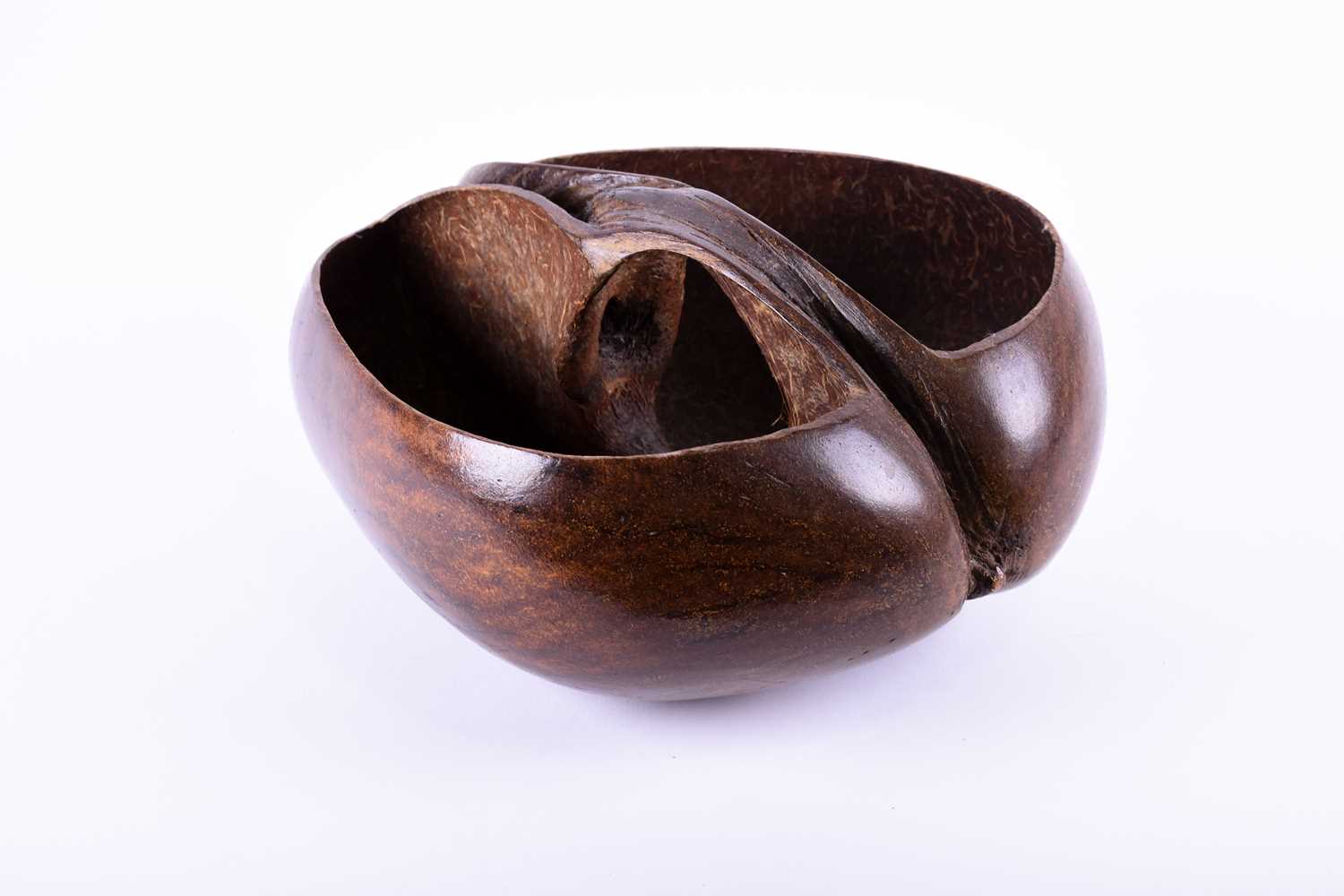 Lot 315 - A coco de mer (Lodoicea maldivica), cut as a