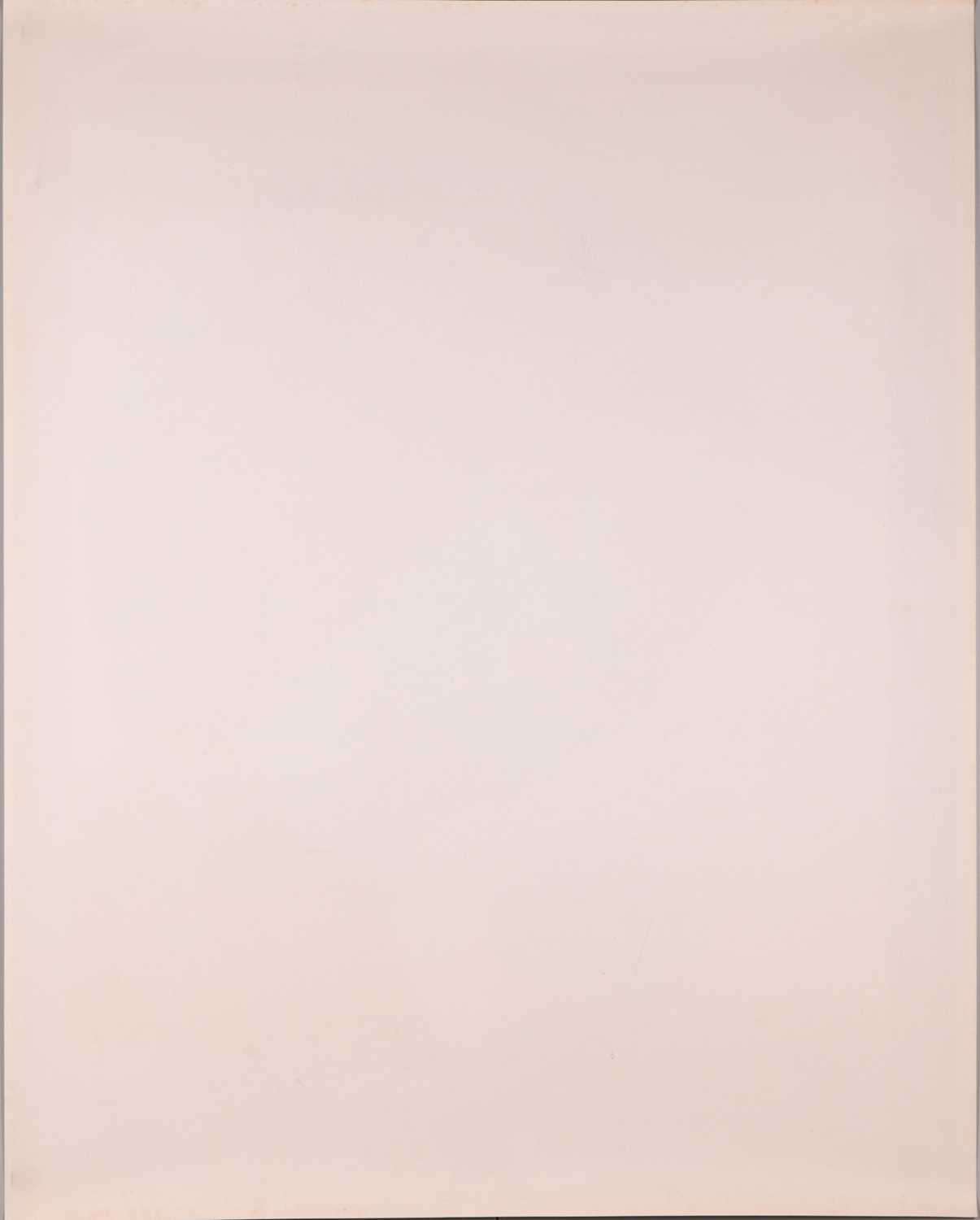 Lot 111 - An original 1971 Black Power movement