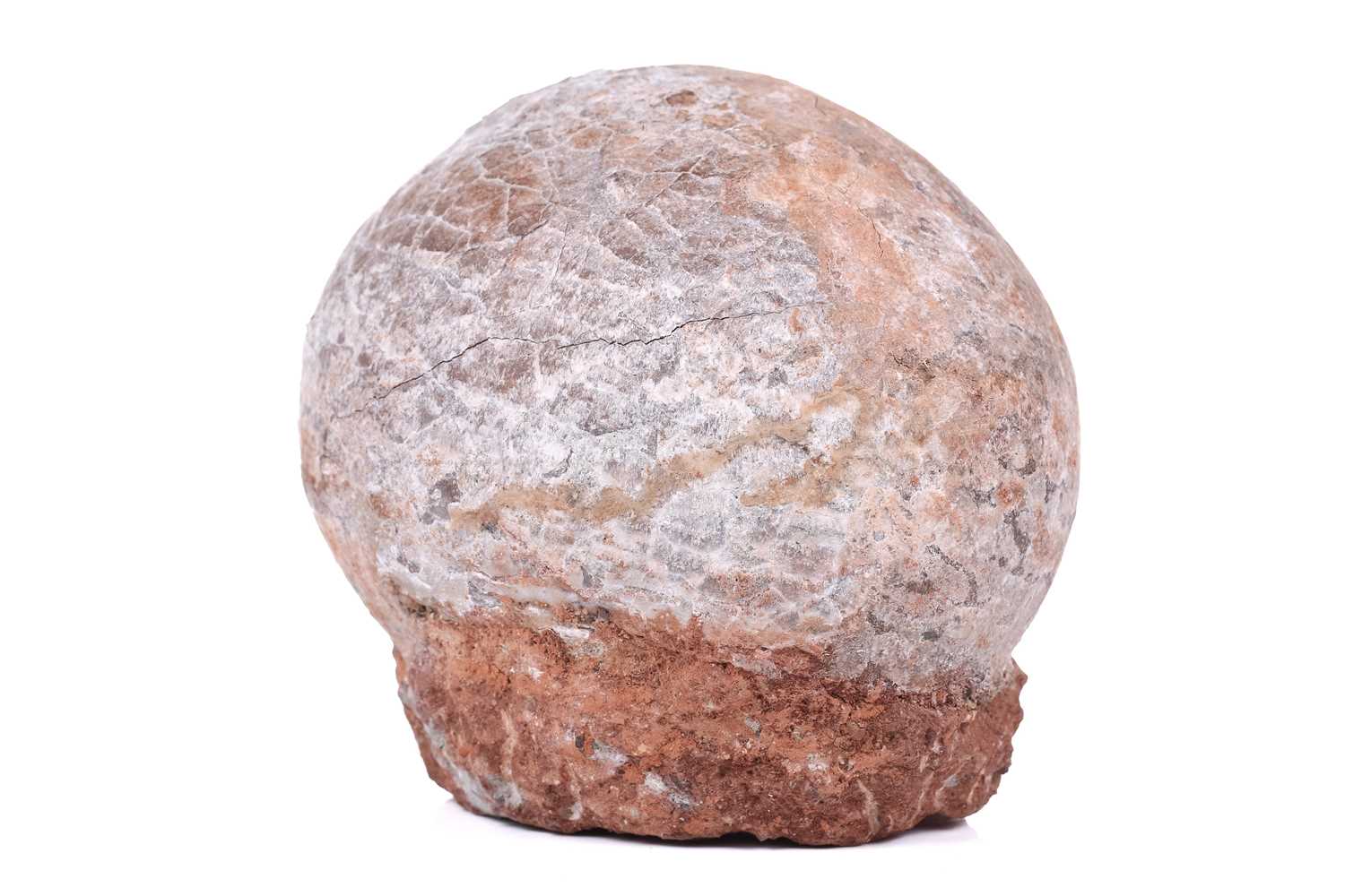 Lot 298 - A fossilised dinosaur egg, in a red stone
