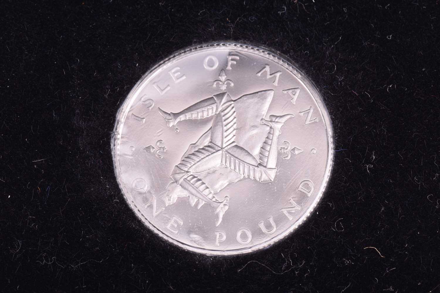 Lot 304 - A Pobjoy Mint Isle of Man one pound platinum