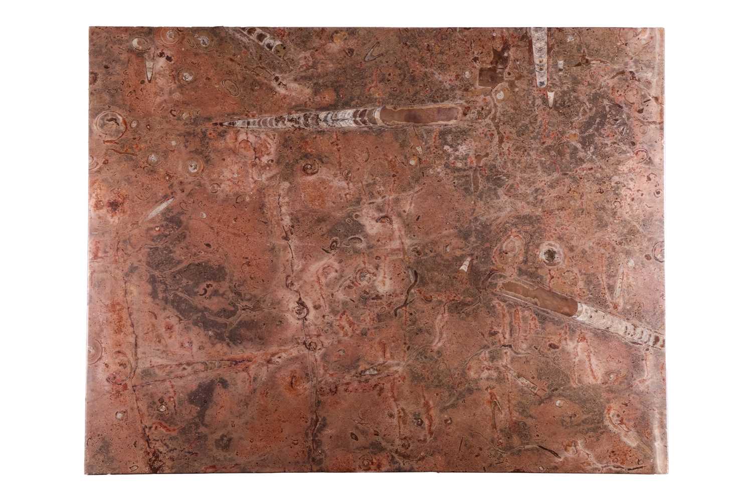 Lot 118 - A large rectangular well figured fossil
