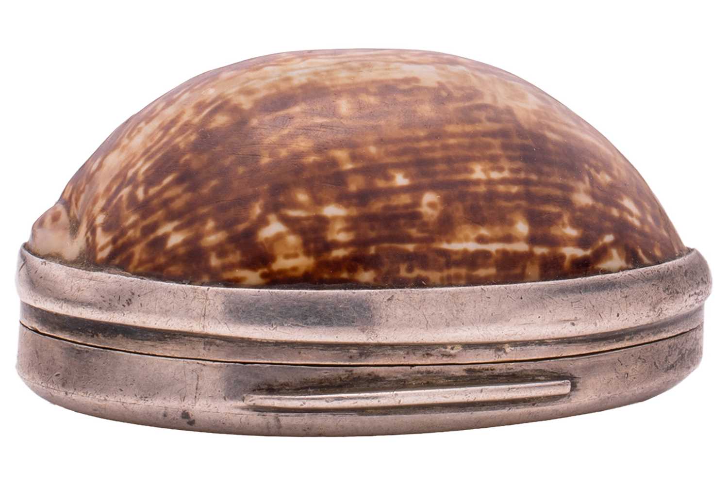 Lot 317 - An early 19th-century mounted cowrie shell